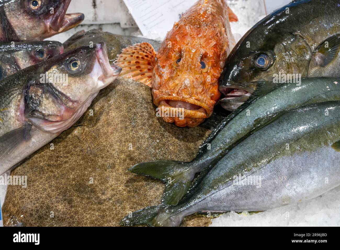 A red scorpion fish and other fish are sold at a market in Lisbon ...