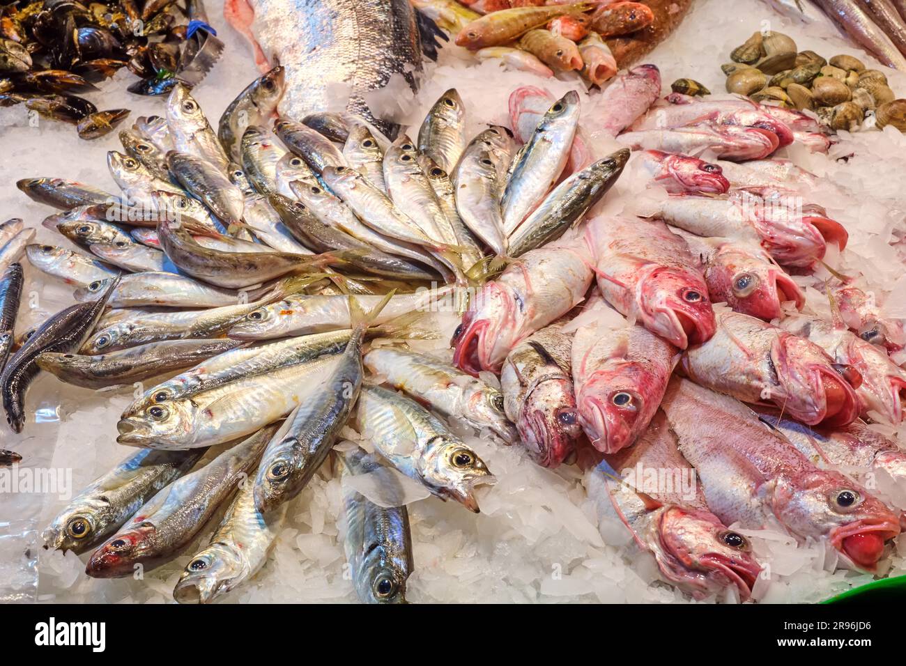Market stall with fish and seafood, seen in Barcelona, Spain Stock ...