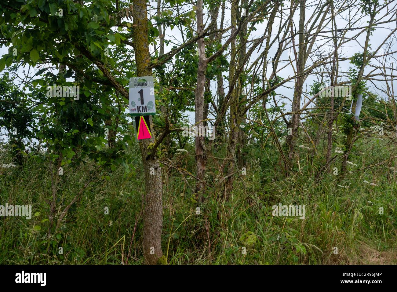 Cotswold way ultra challenge 2023 hi-res stock photography and images ...