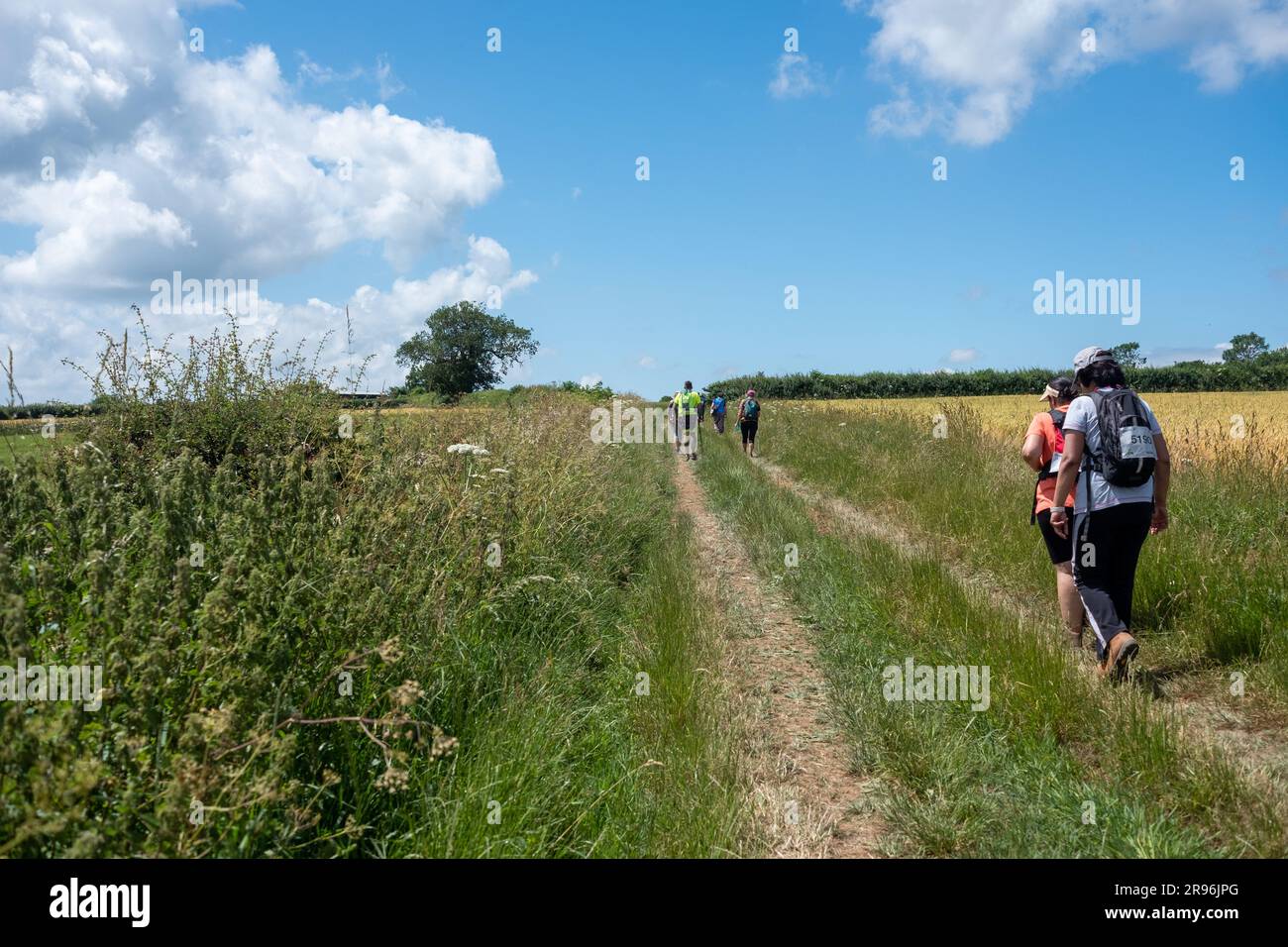 100km walk hi-res stock photography and images - Alamy