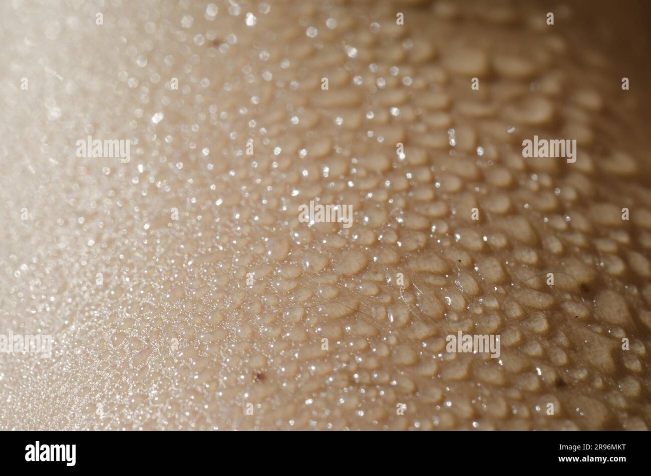 Wet Skin with Water Drops Stock Photo - Alamy