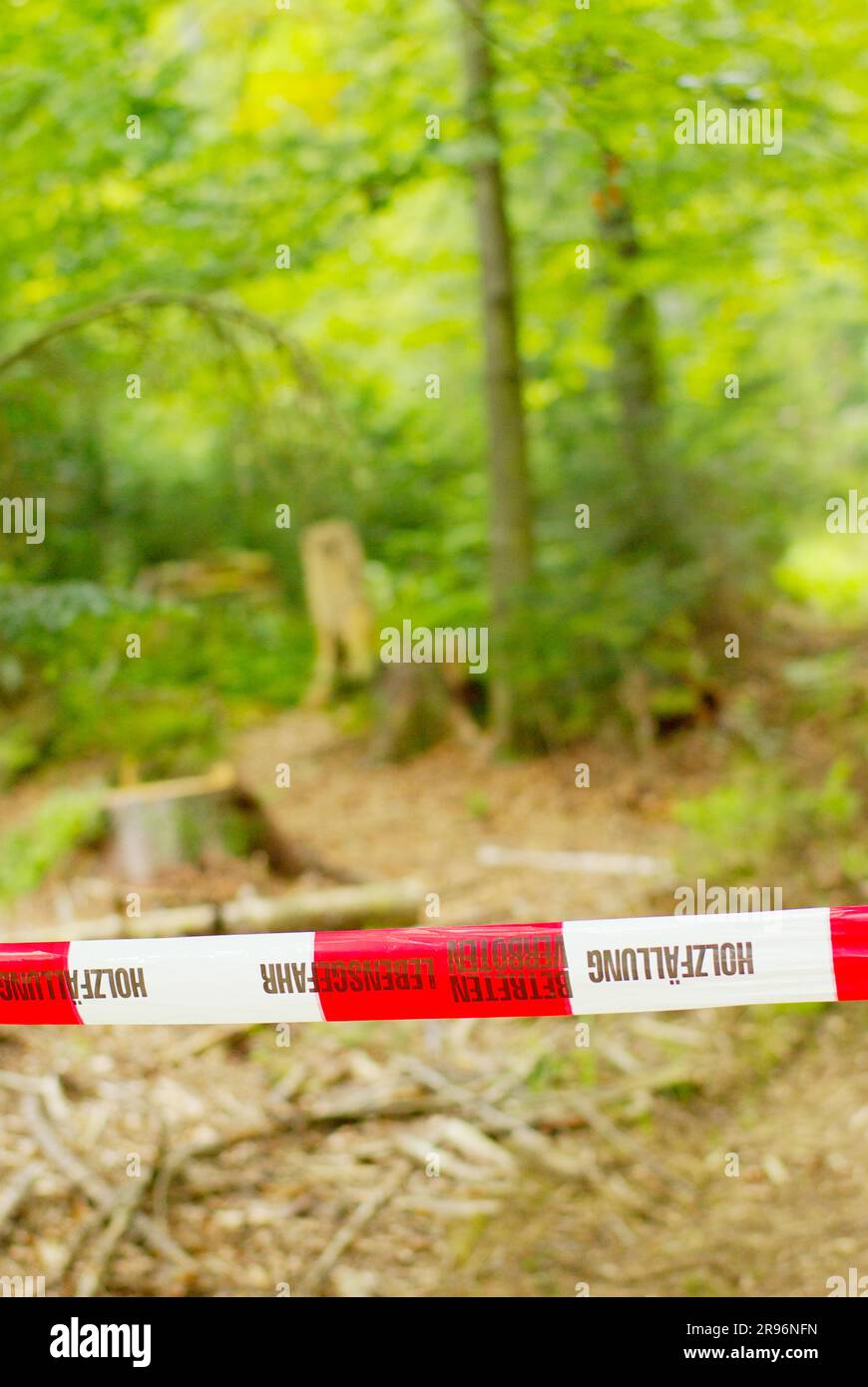 Warning of logging, danger to life, barrier tape, flutter tape, logging ...