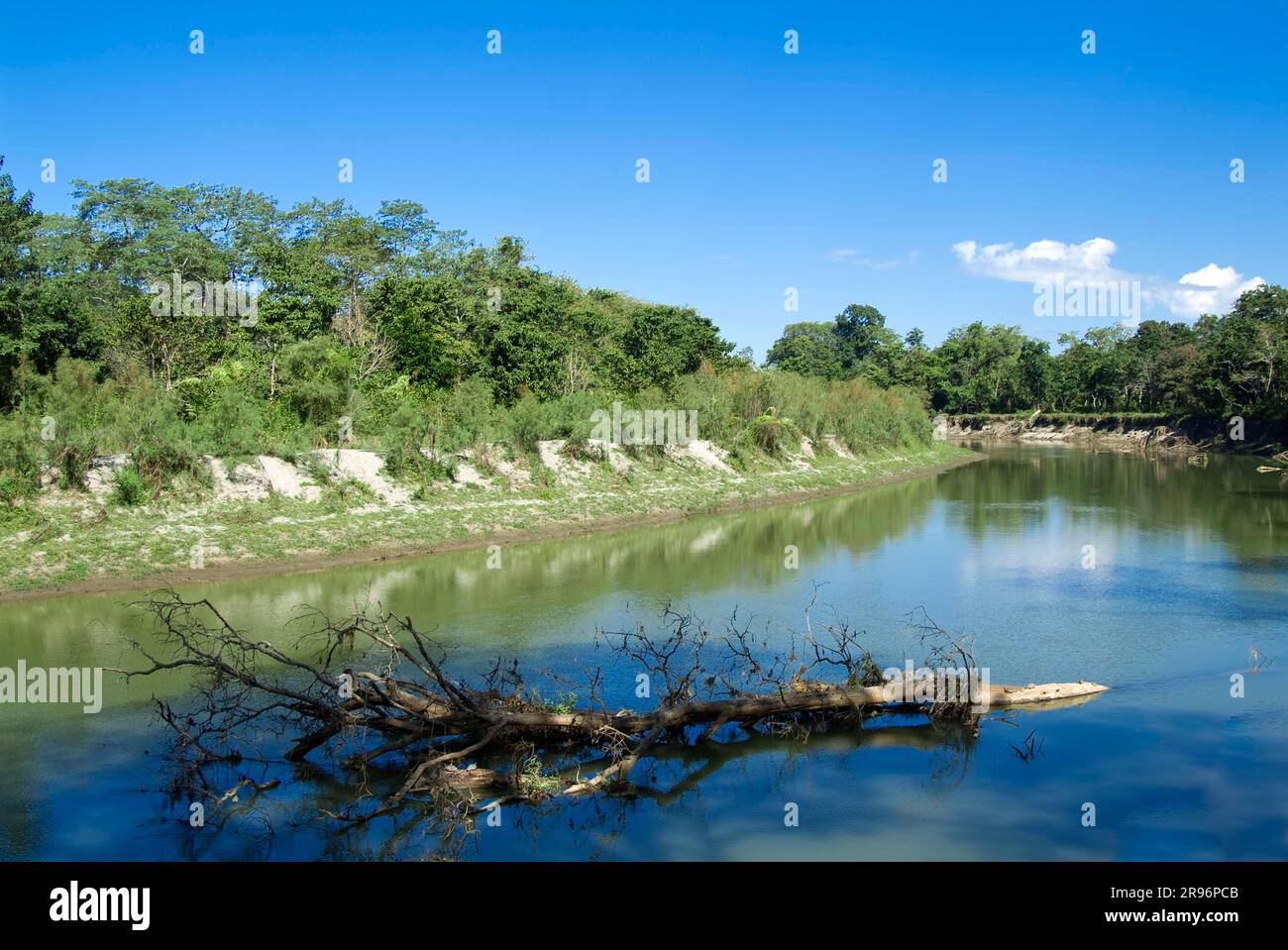 River, Kaziranga National Park, Assam, India Stock Photo - Alamy