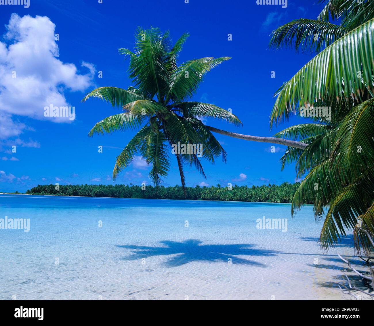 Seychelles islands palm hi-res stock photography and images - Alamy
