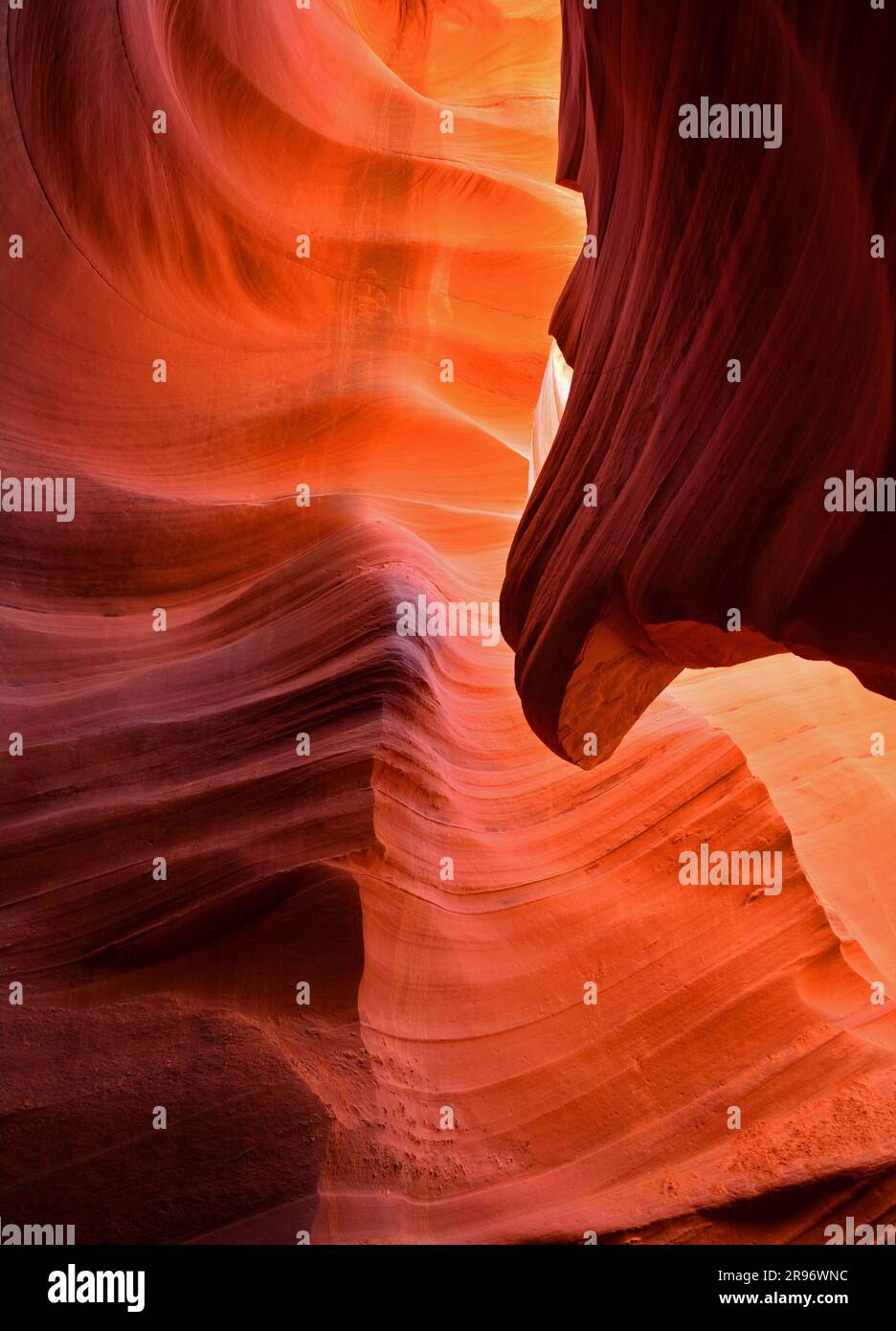 inside the colorful red sandstone walls of lower antelope canyon, near ...
