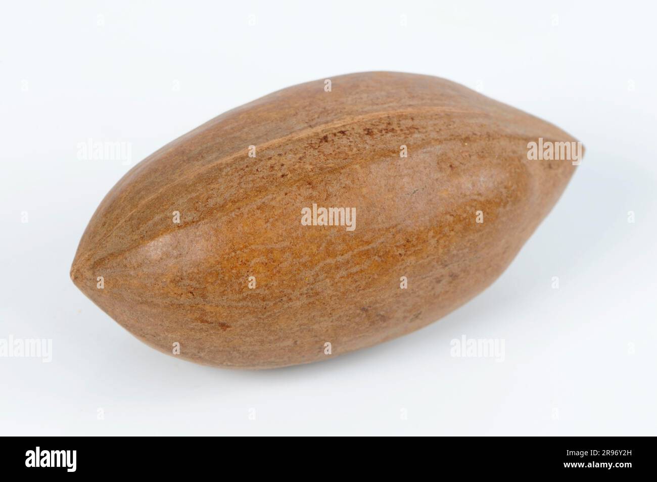 Pecans tree hi-res stock photography and images - Alamy