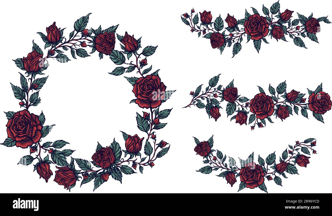Rose english wild isolated Stock Vector Images - Alamy