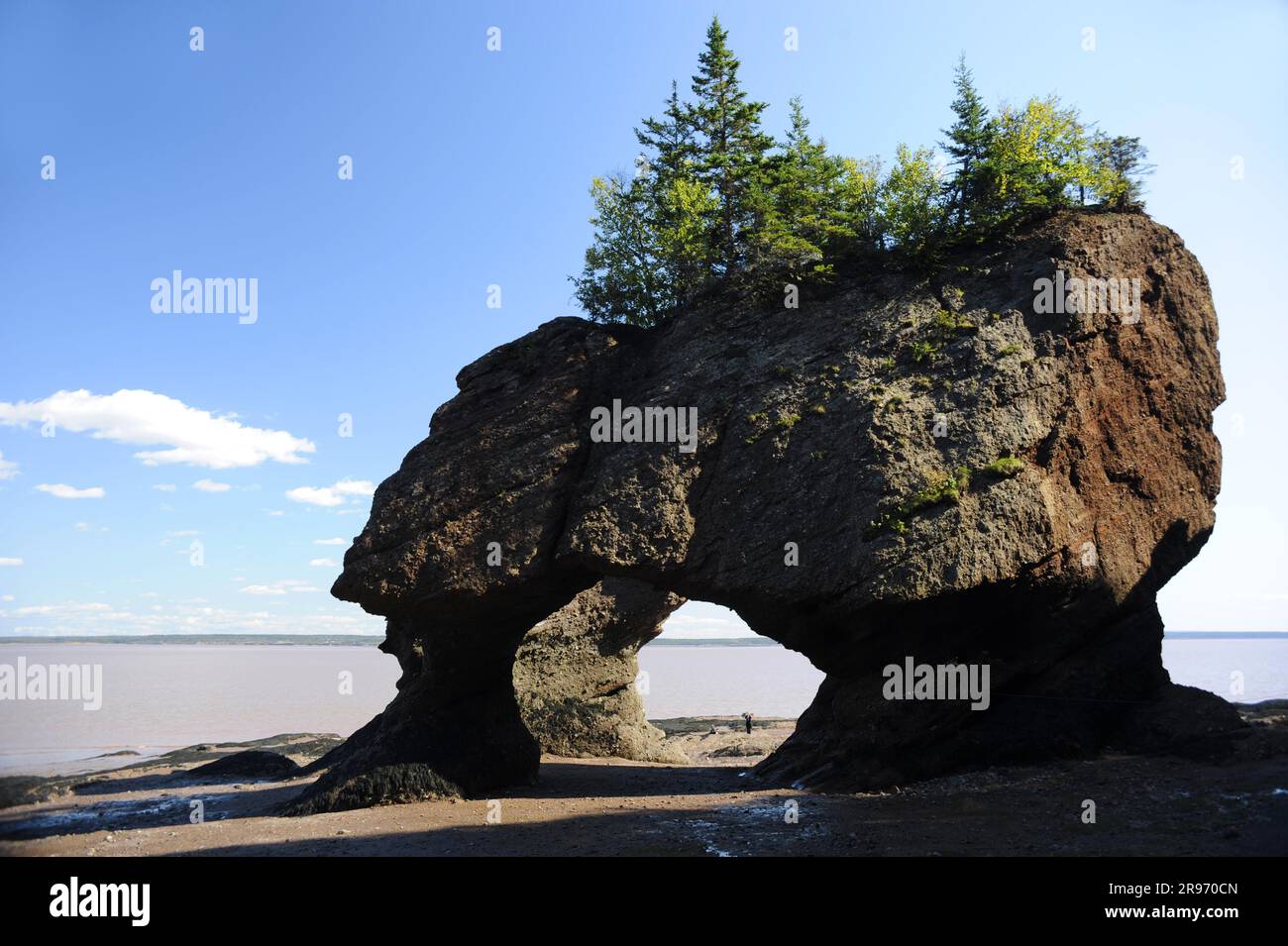 Hopewell Rocks, rock formation, Bay of Fundy, Rocks Provincial park ...