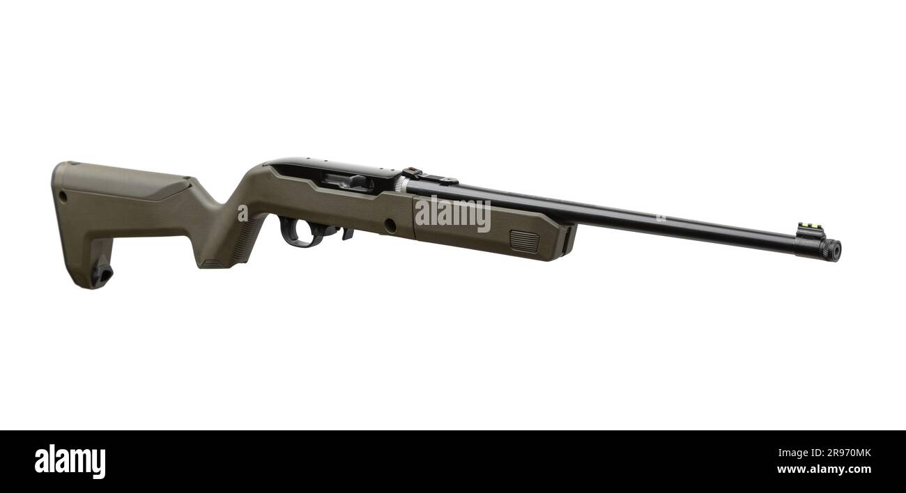 Modern semi-automatic small-caliber .22lr rifle. Sports folding ...