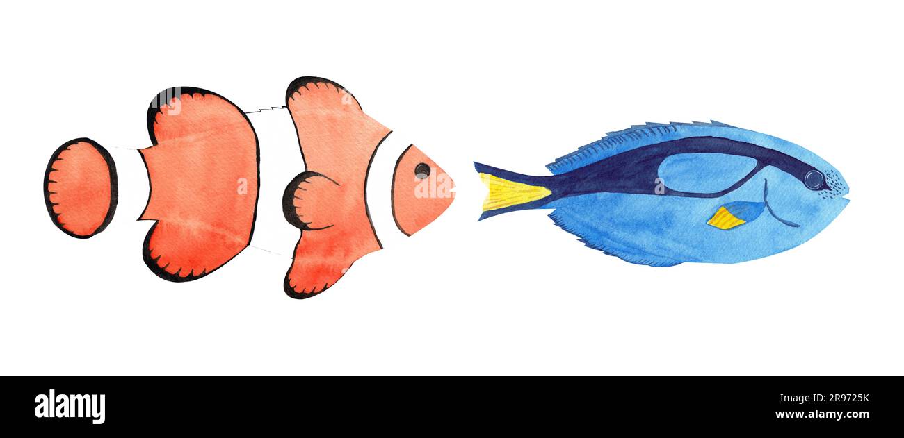 watercolor tropical fishes- clown fish, dory fish, tang, fauna. For ...
