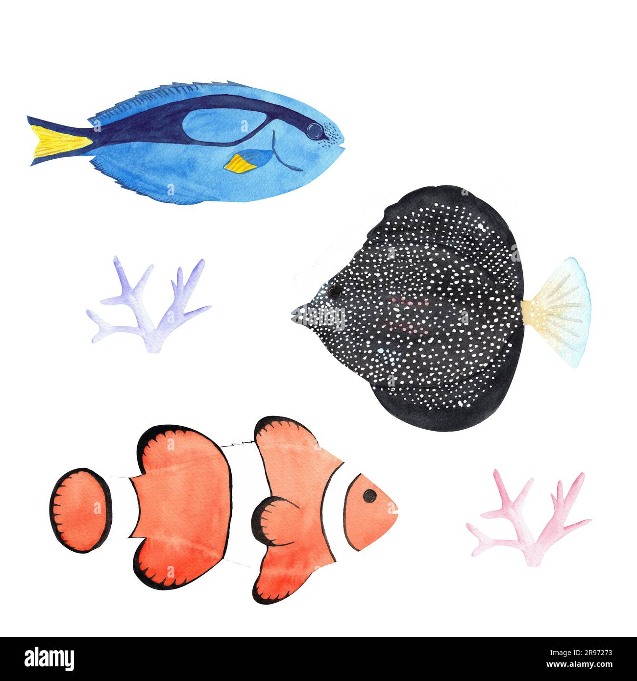 watercolor tropical fishes- clown fish, dory fish, gemma tang, tang ...