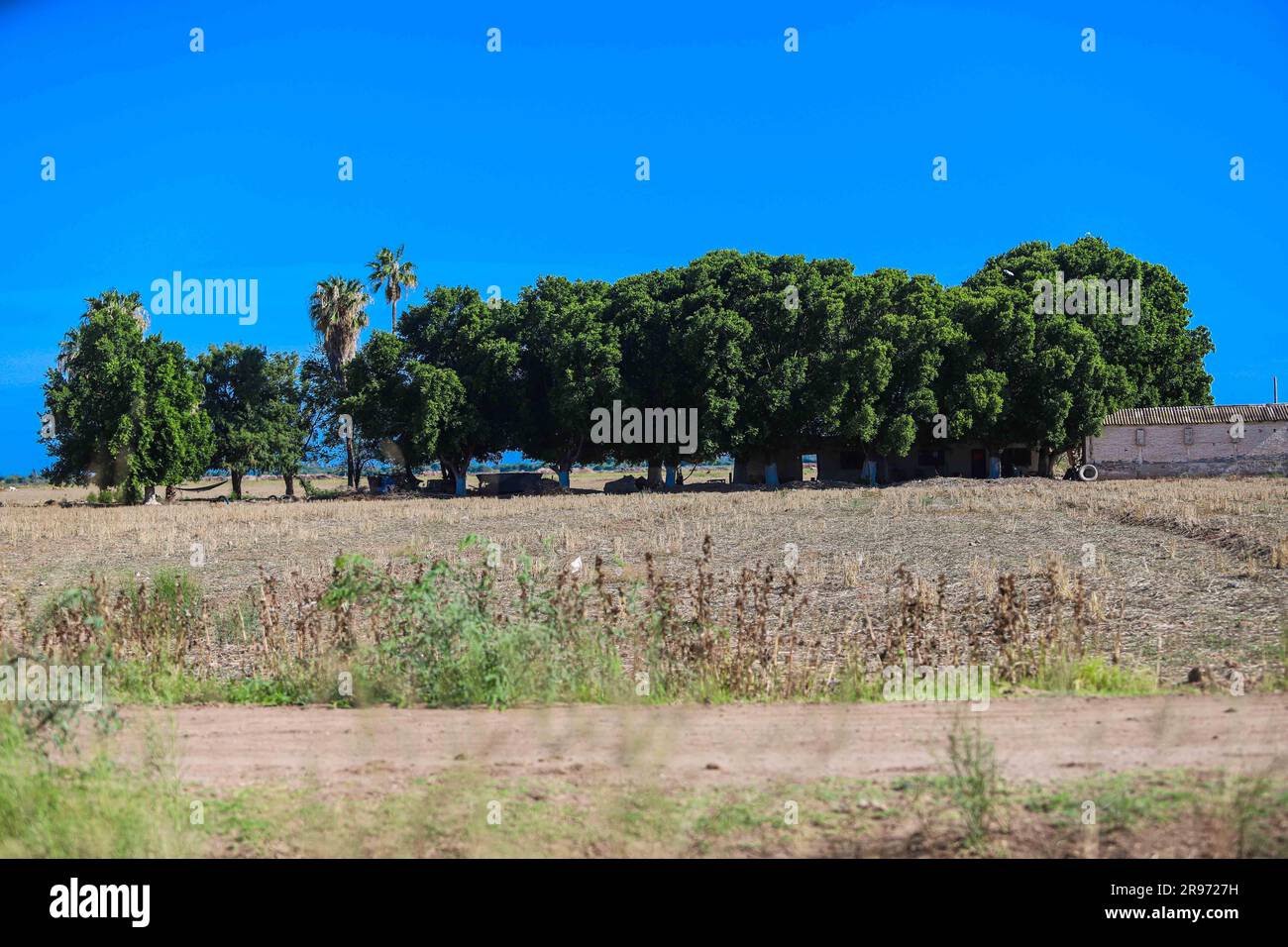 Tribu bajo hi-res stock photography and images - Alamy