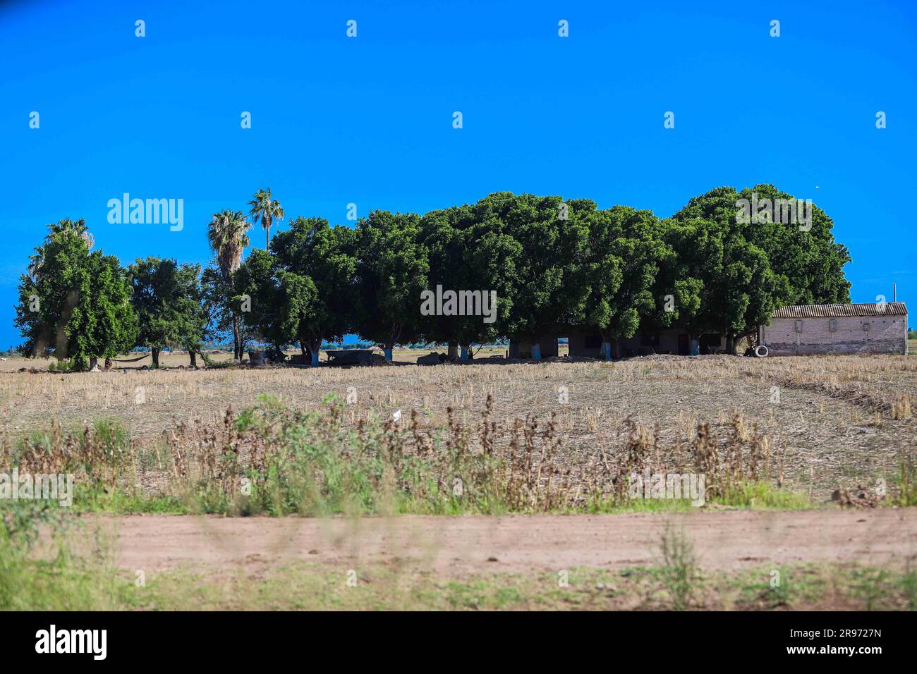 Tribu bajo hi-res stock photography and images - Alamy