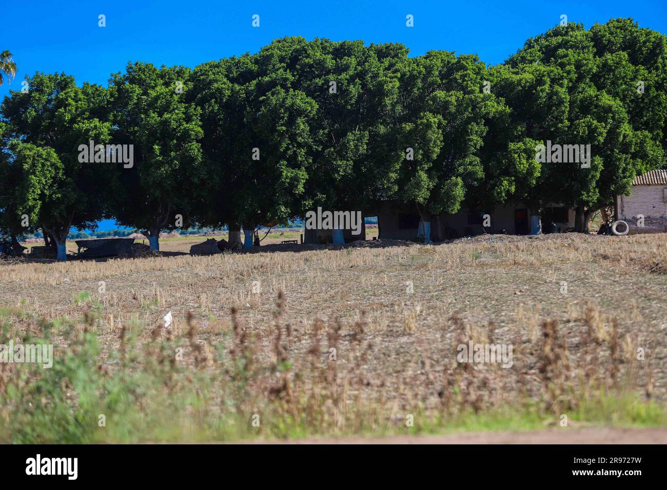 Tribu bajo hi-res stock photography and images - Alamy