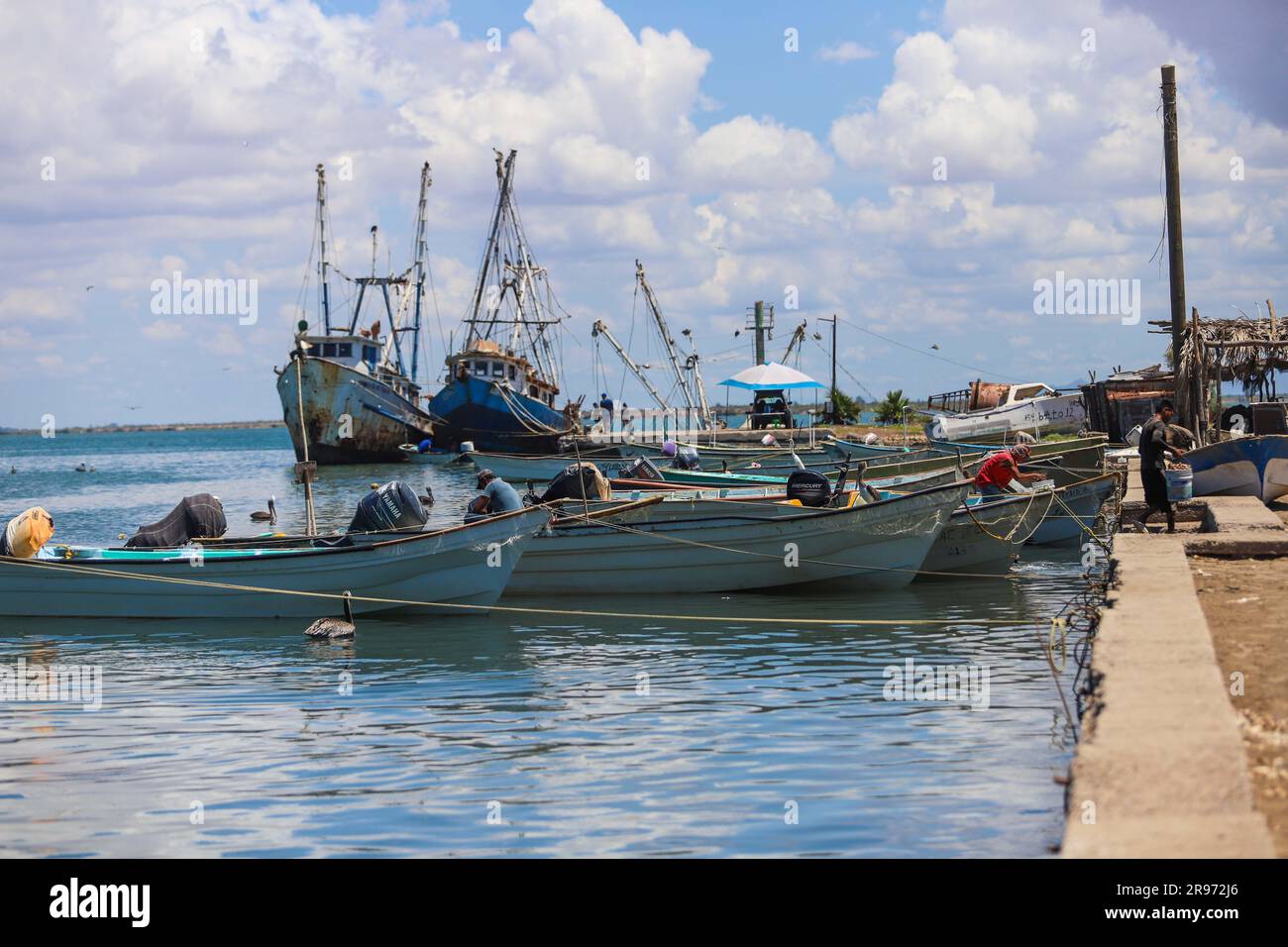 Yavaros en el municipio de Huatabampo Sonora Mexico. (© Foto ...