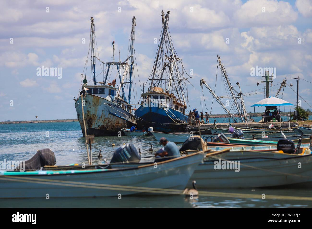 Yavaros en el municipio de Huatabampo Sonora Mexico. (© Foto ...