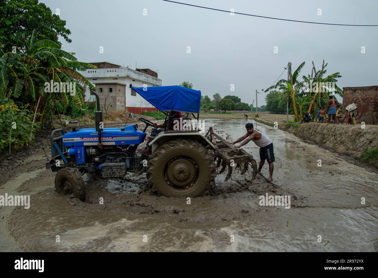 Preparing a rice paddy hi-res stock photography and images - Alamy