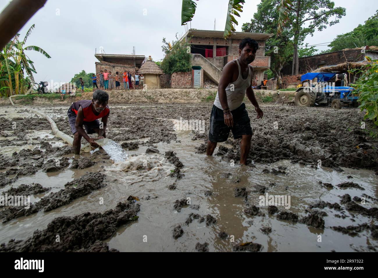 Farming in bihar hi-res stock photography and images - Alamy