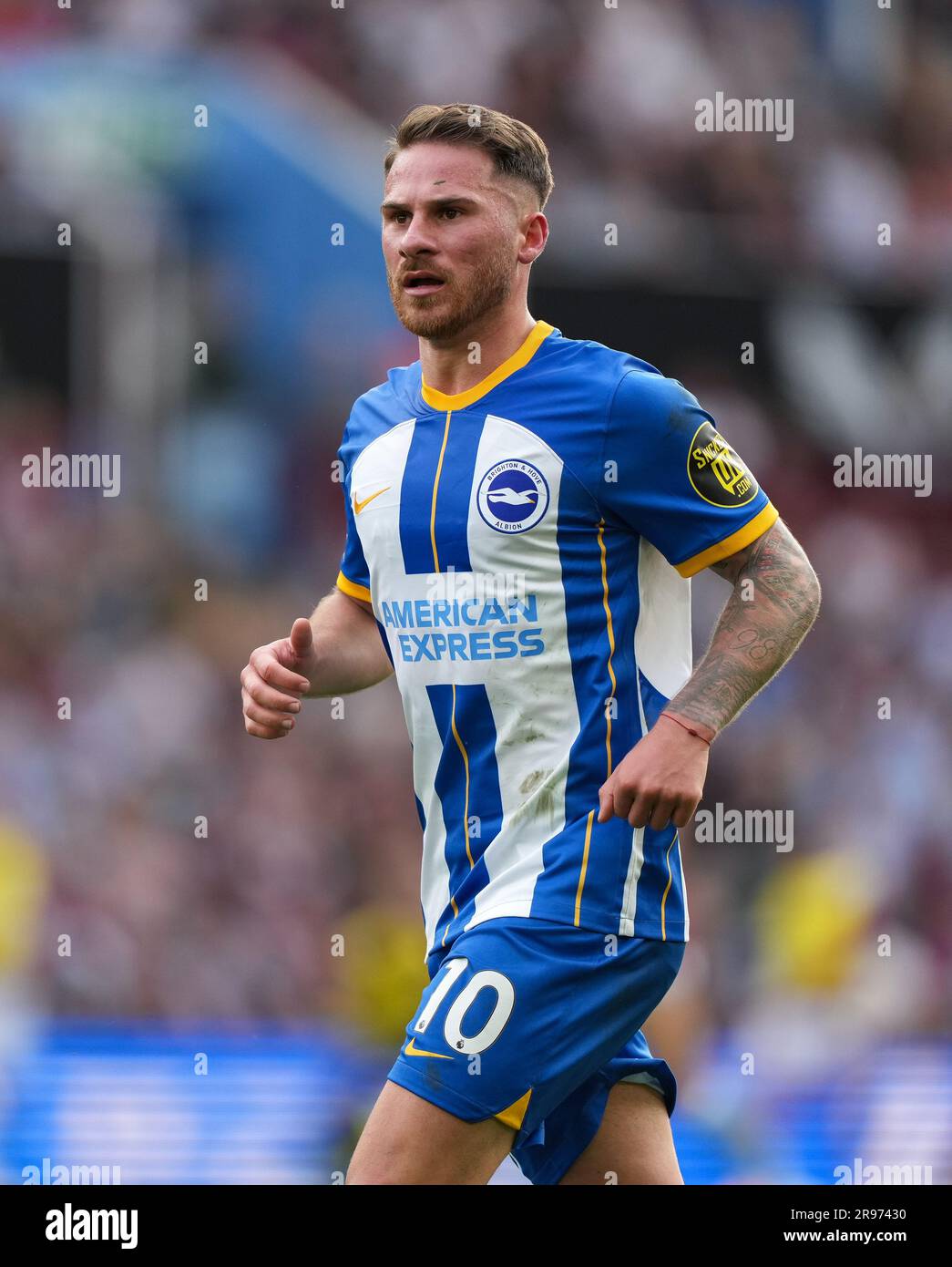 Alexis mac allister brighton hi-res stock photography and images - Alamy