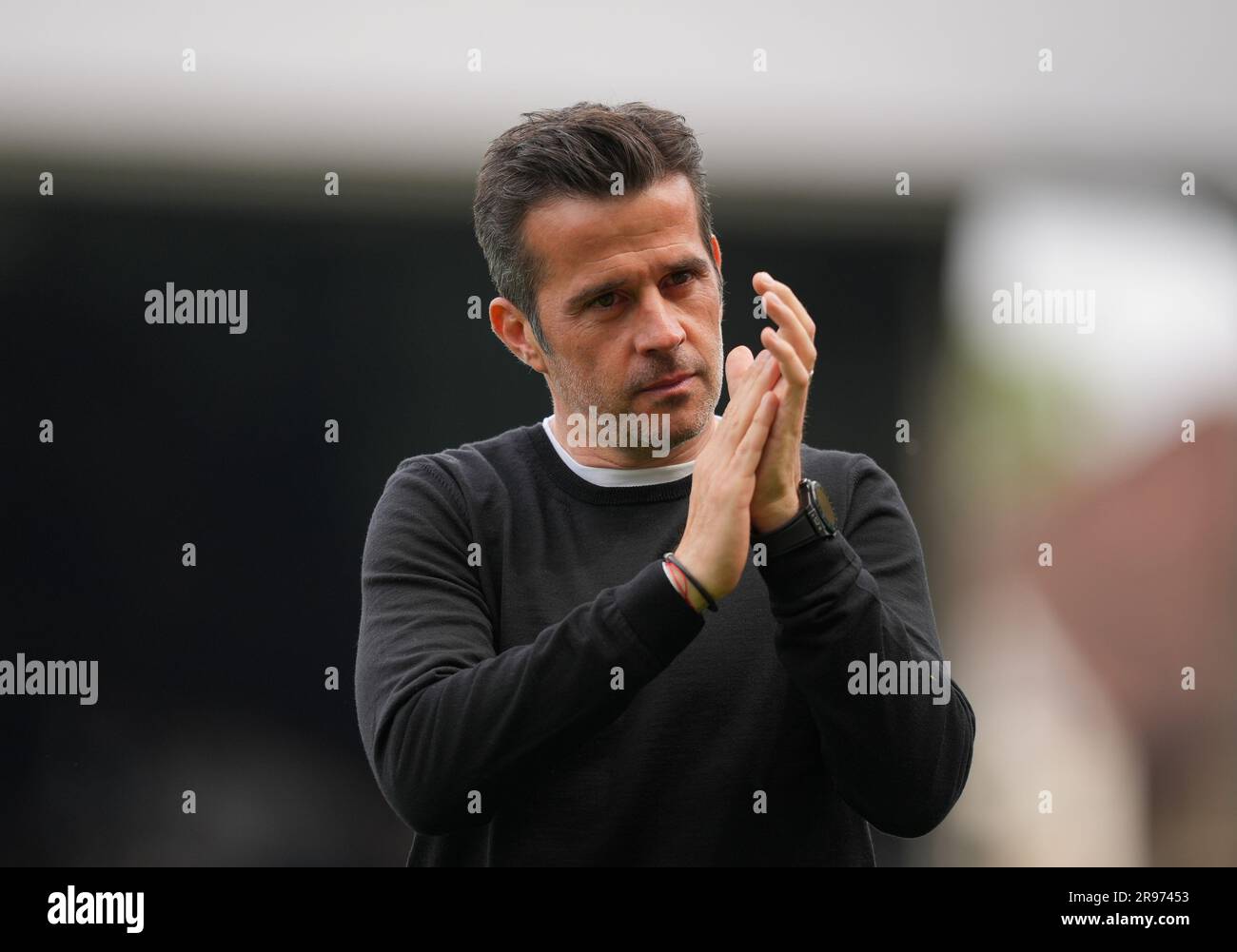 Fulham manager Marco Silva during the Premier League match between ...