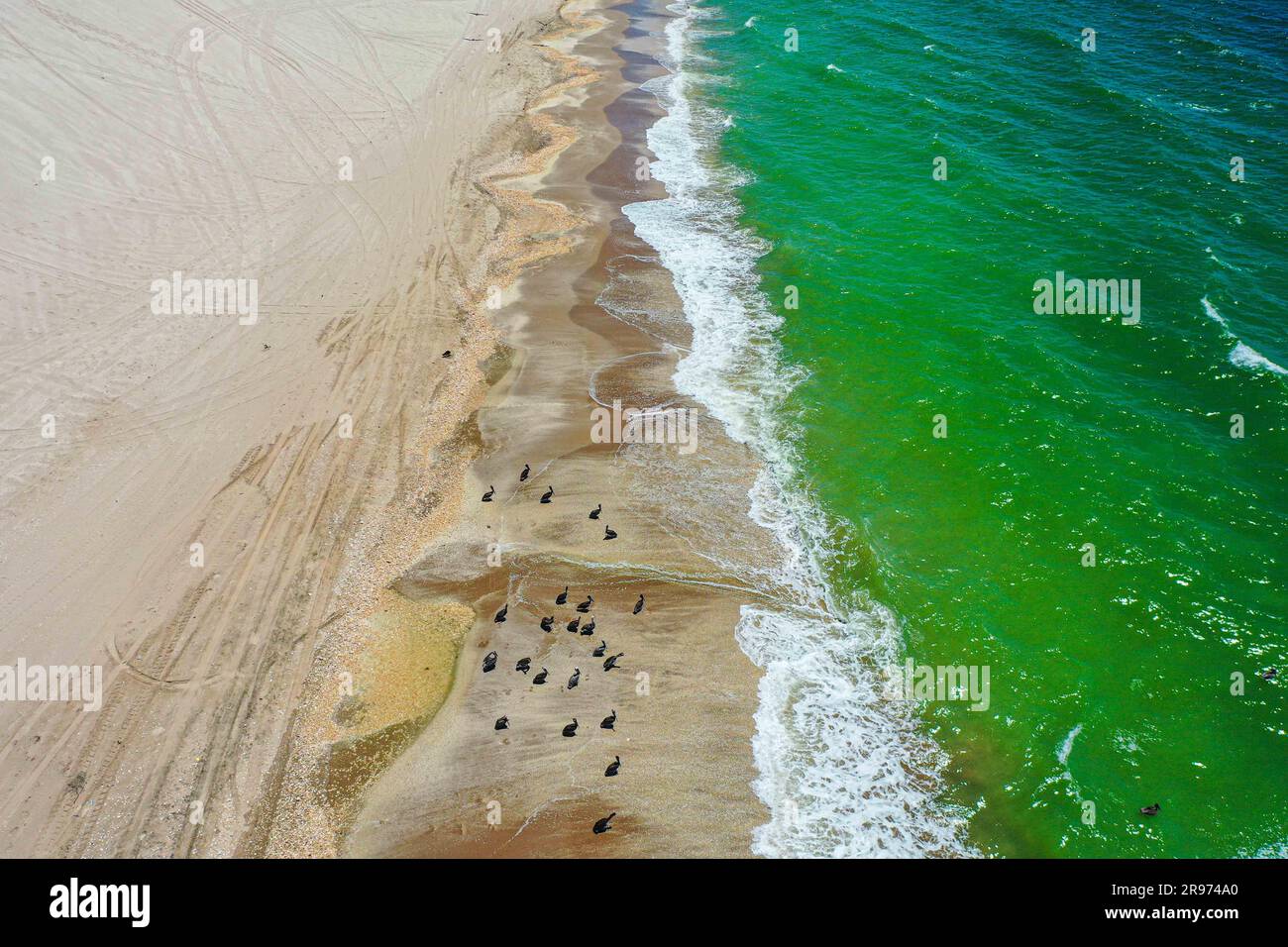 San Nicolas beach and sand dunes next to the desert of Sonora, Mexico ...