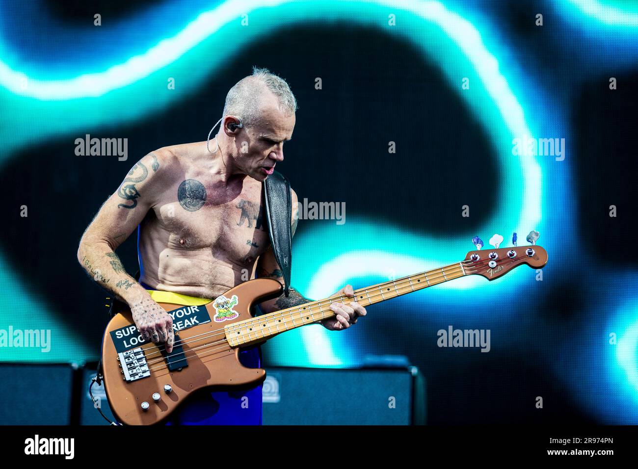 Music band rock flea hi-res stock photography and images - Alamy