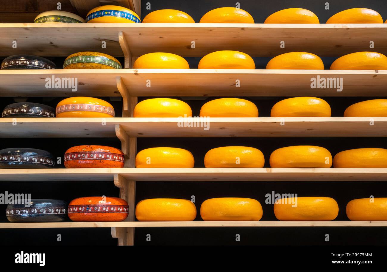 small Henri Willig cheese museum in Amsterdam with stacked cheese ...