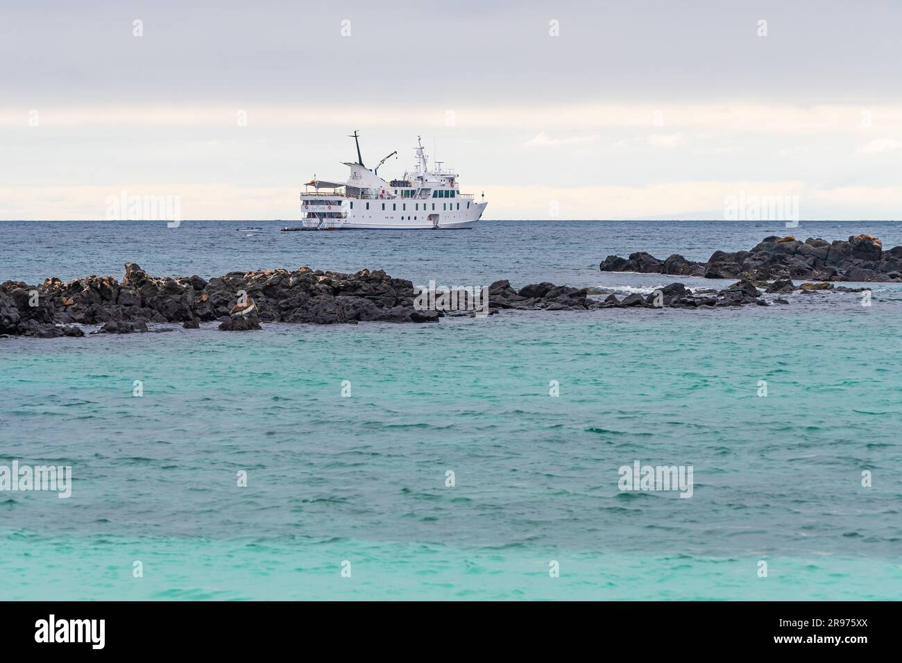 La Pinta exploration cruise ship, Santa Fe Island, Galapagos national ...
