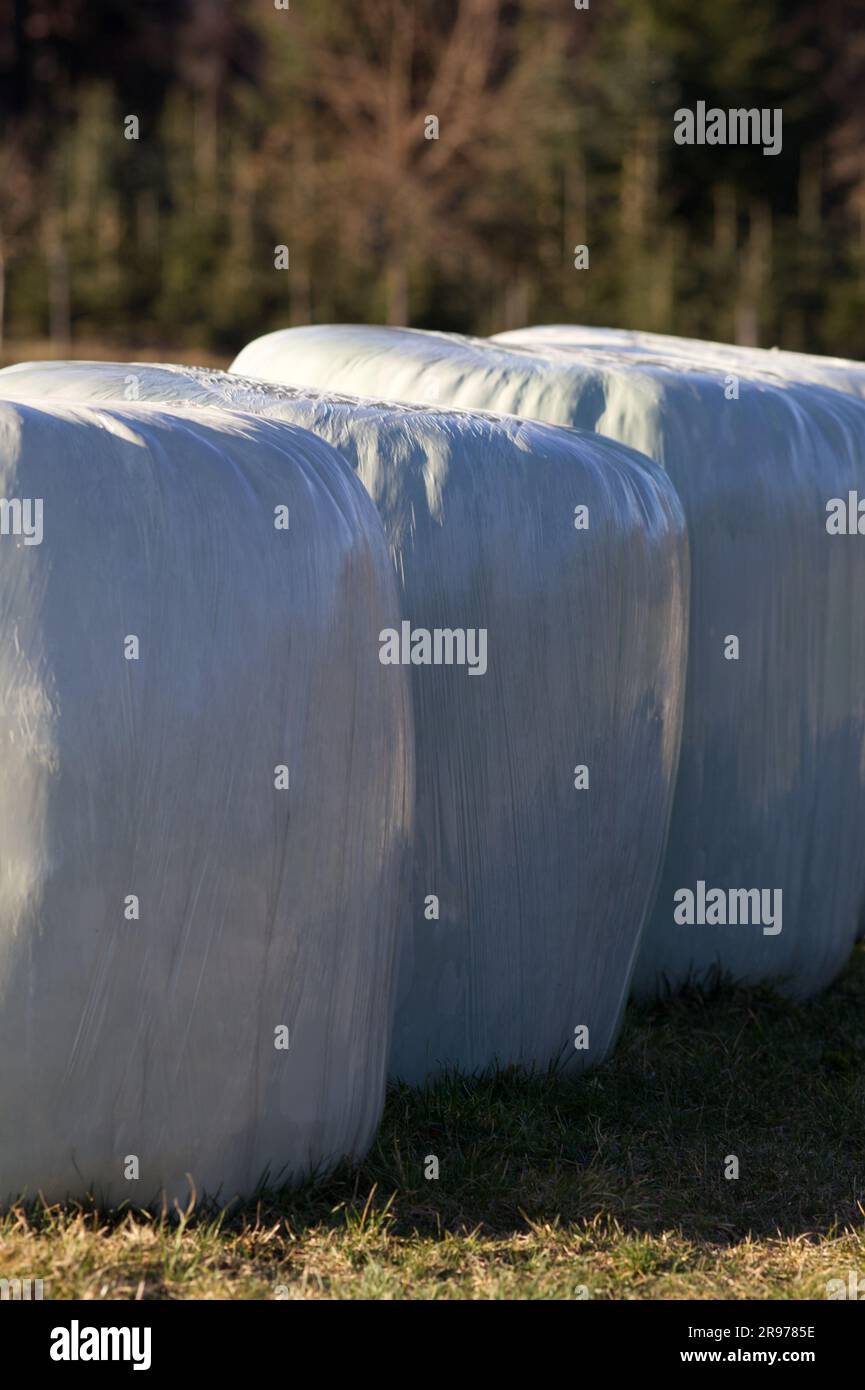 Haylage bale hi-res stock photography and images - Alamy