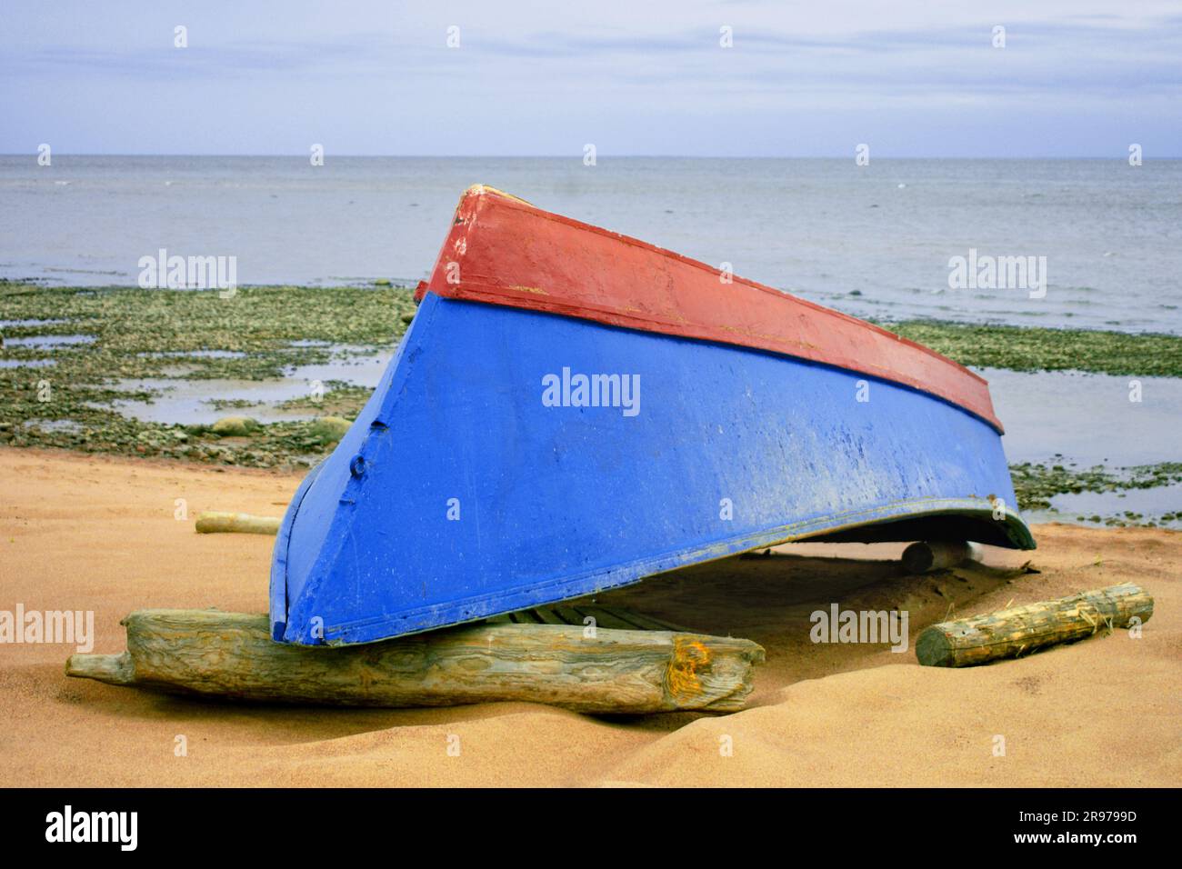 A blue-red boat lies upside down on logs on the sandy seashore Stock ...