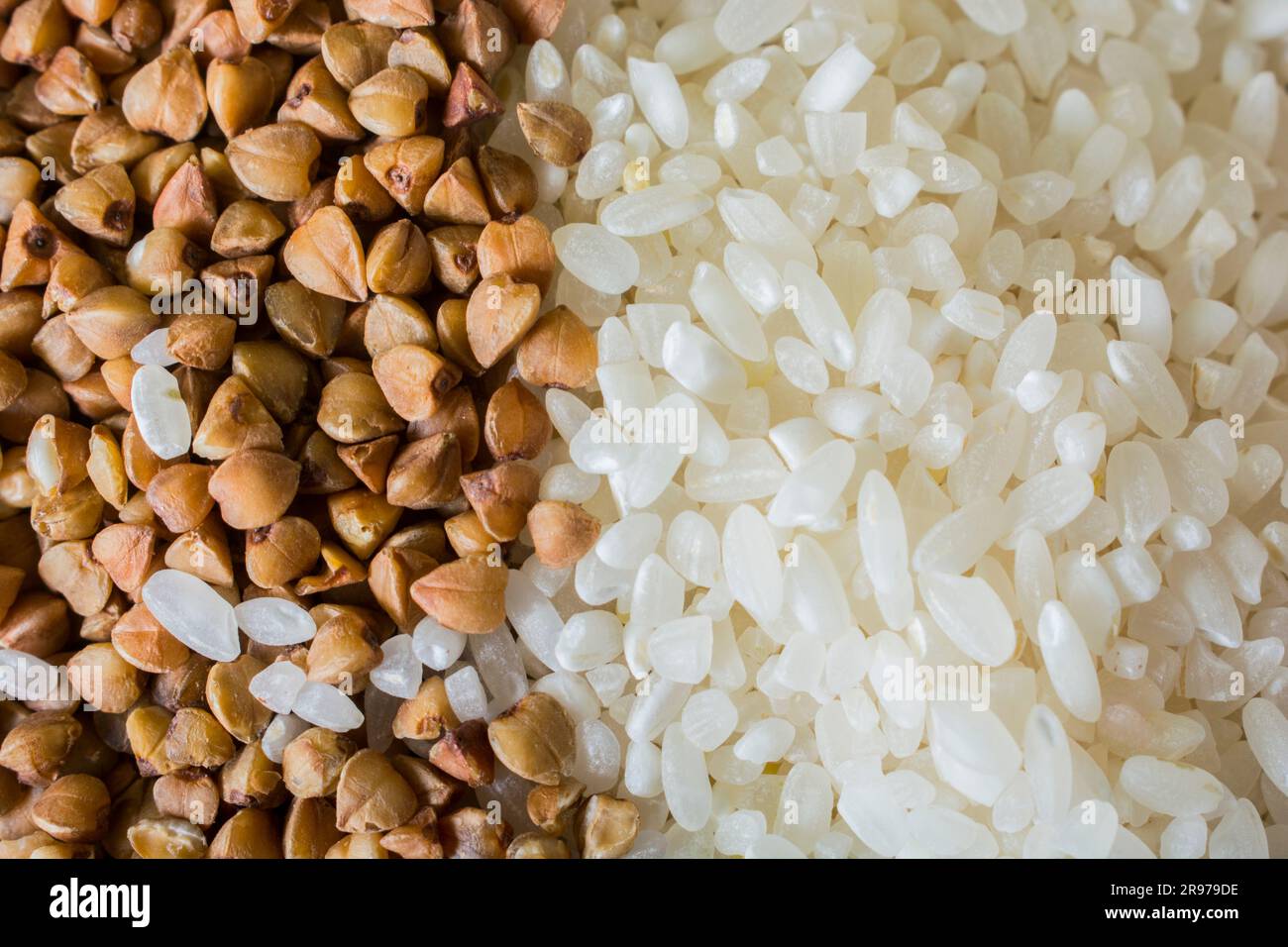 Texture of a grain of rice and raw buckwheat background Stock Photo - Alamy