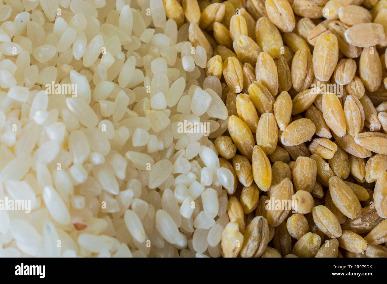 half raw rice half wheat grains background Stock Photo - Alamy