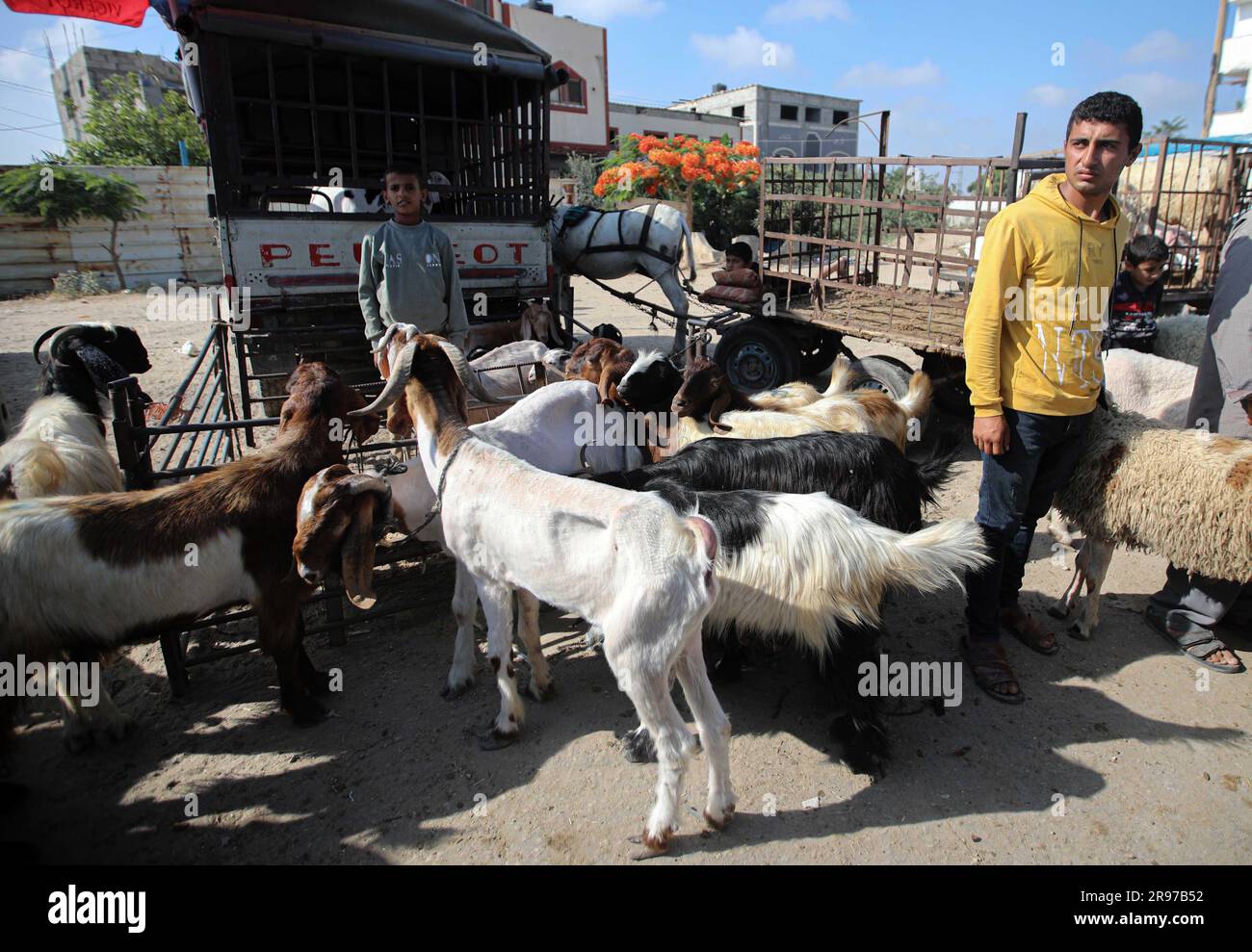 June 22, 2023, Gaza City, The Gaza Strip, Palestine: Palestinian ...