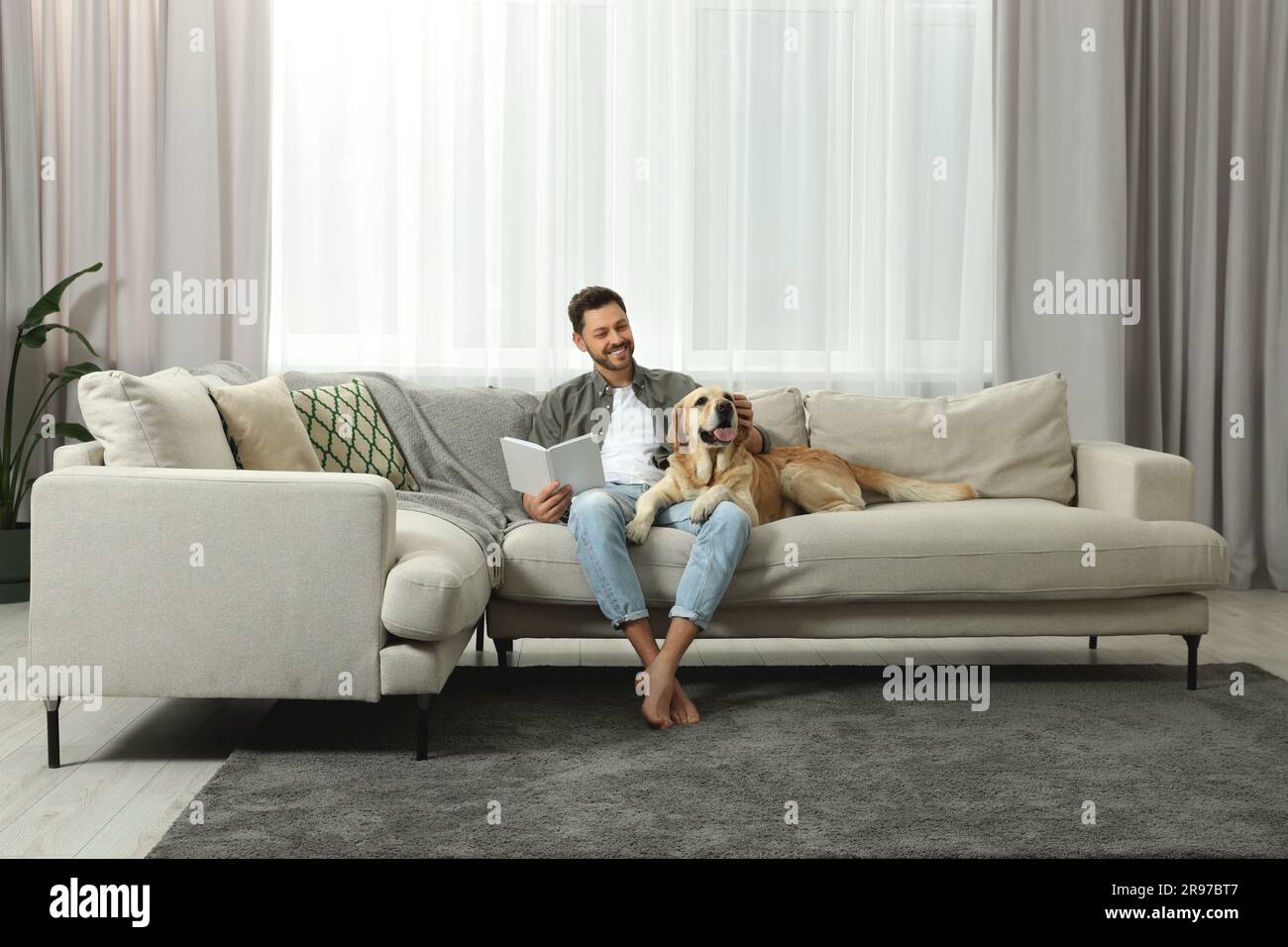 Labrador reading hi-res stock photography and images - Alamy