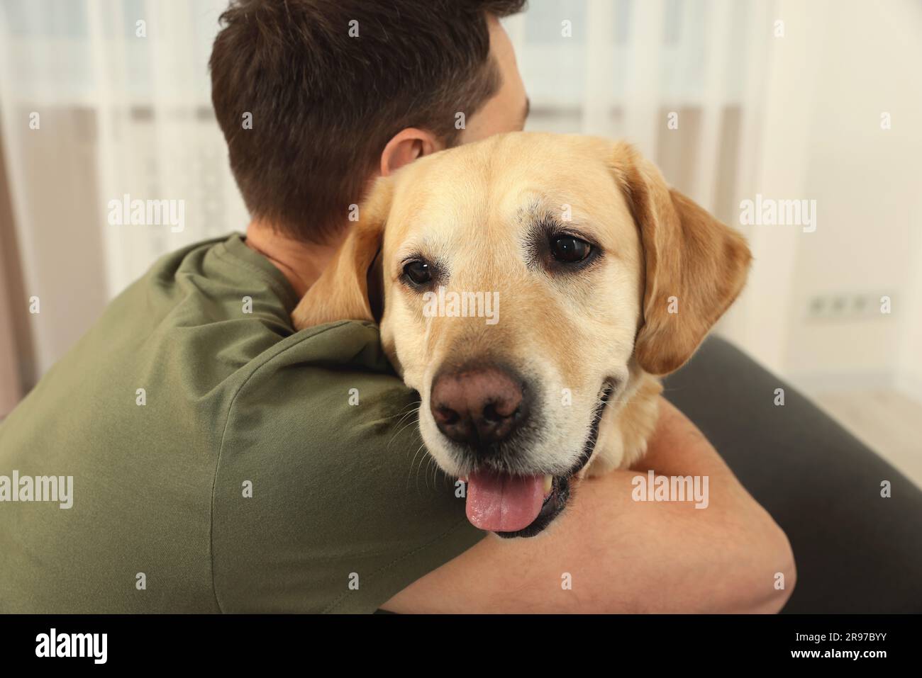 Back view of man and doggy hi-res stock photography and images - Alamy