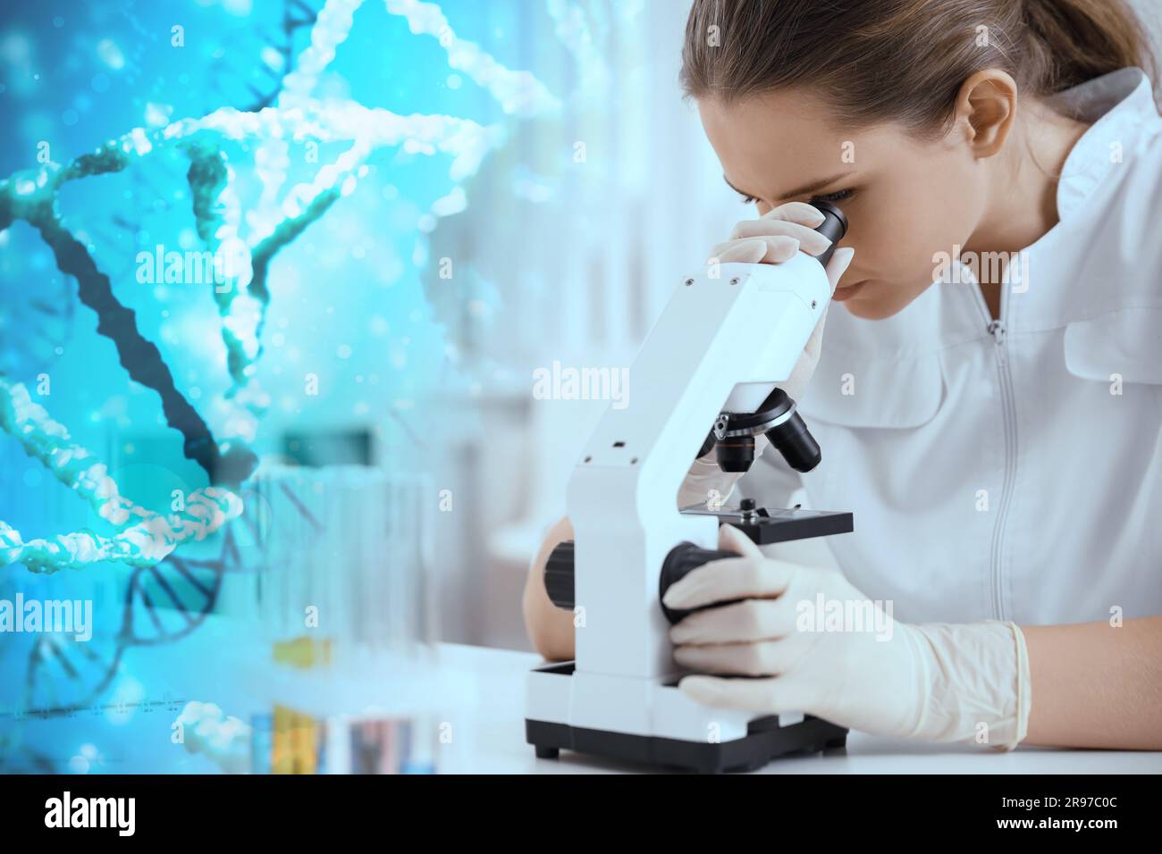 Genetic Testing Double Exposure Of Laboratory Worker Using Microscope At Table And Illustration