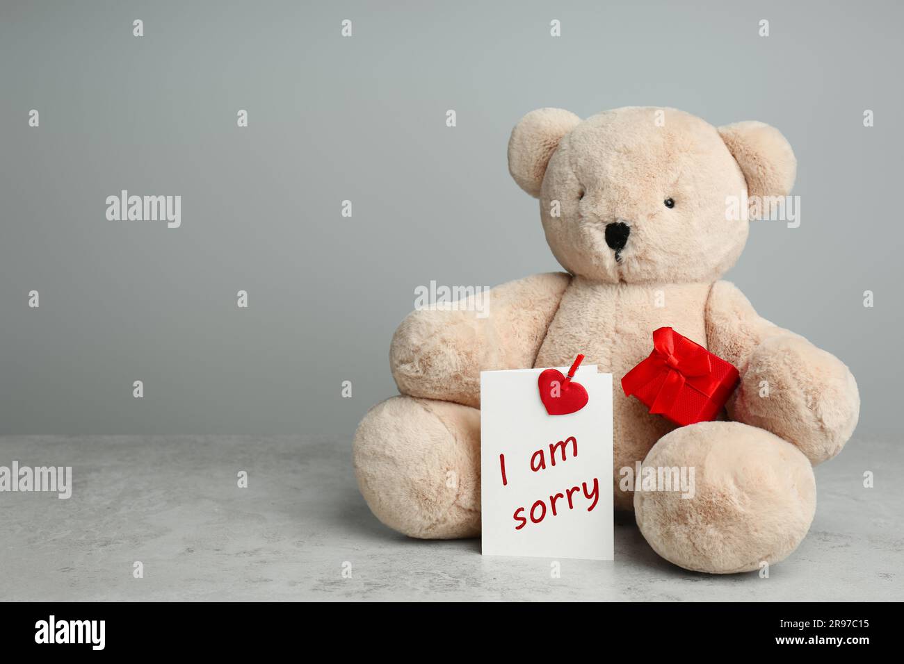 Apology. Cute teddy bear with gift box and I Am Sorry card on grey ...