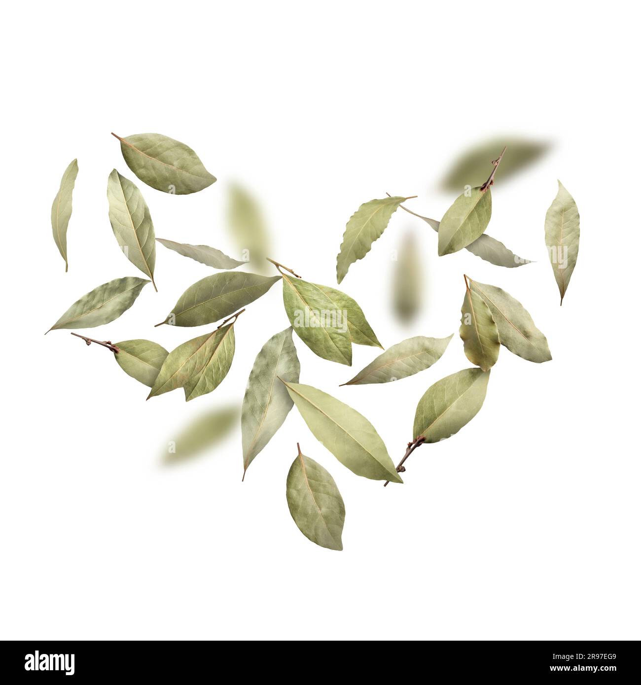 Dry bay leaves falling on white background Stock Photo - Alamy