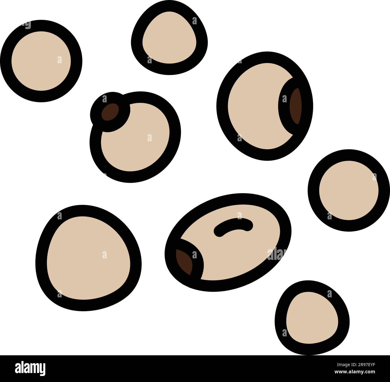 Lentil bean icon. Outline Lentil bean vector icon for web design ...