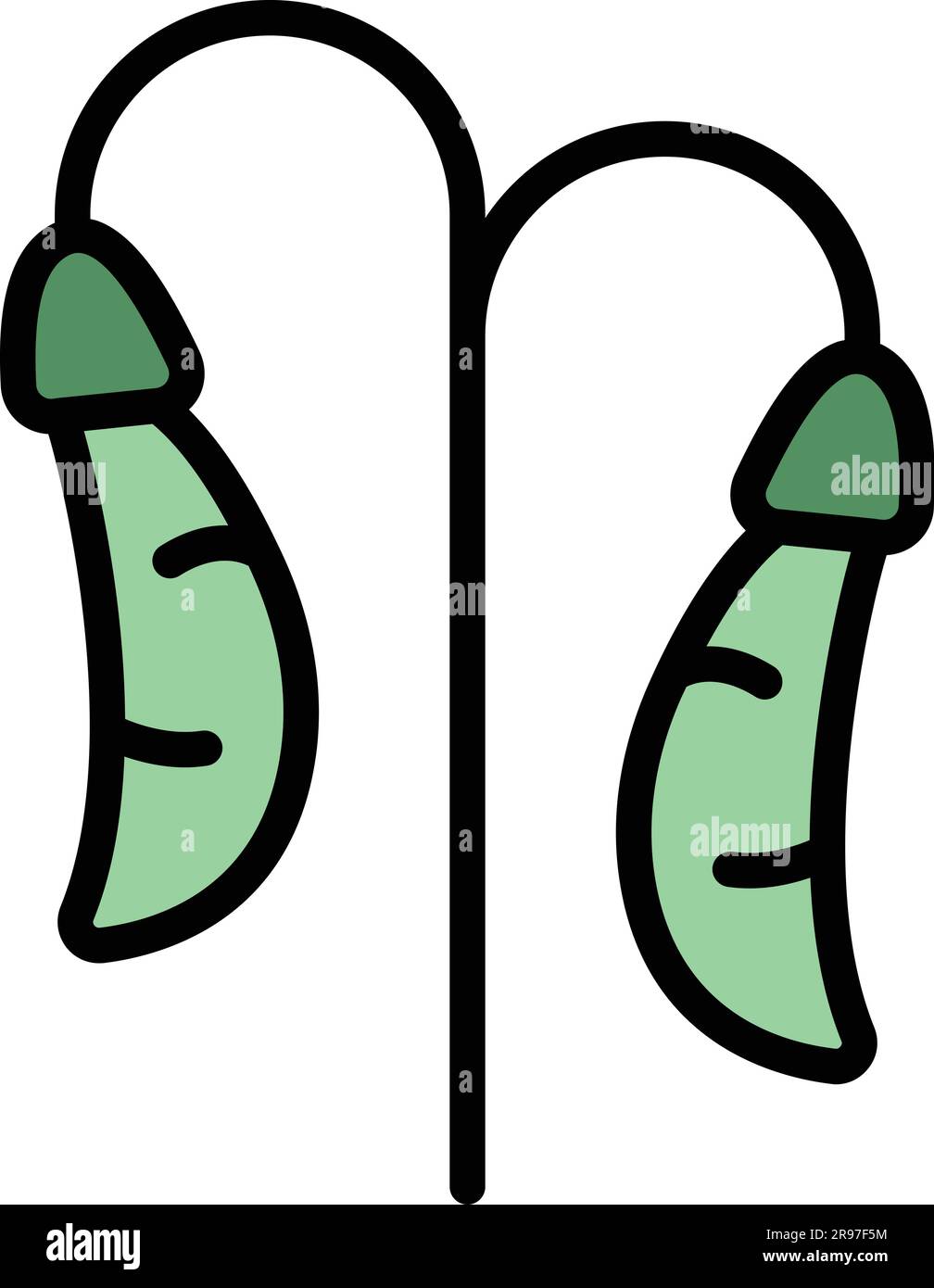 Lentil vegetable icon. Outline Lentil vegetable vector icon for web ...