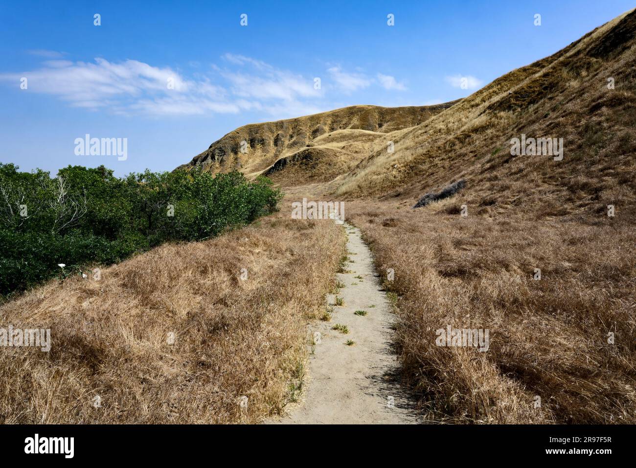 Foothills nature preserve hi-res stock photography and images - Alamy