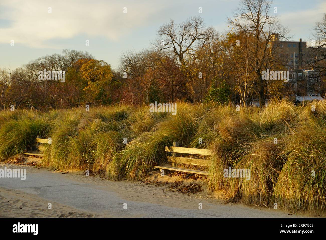 Benches at Leone Park along the coast of Lake Michigan in the ...