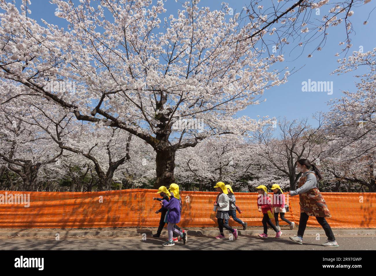 Japanese kindergarten hi-res stock photography and images - Alamy
