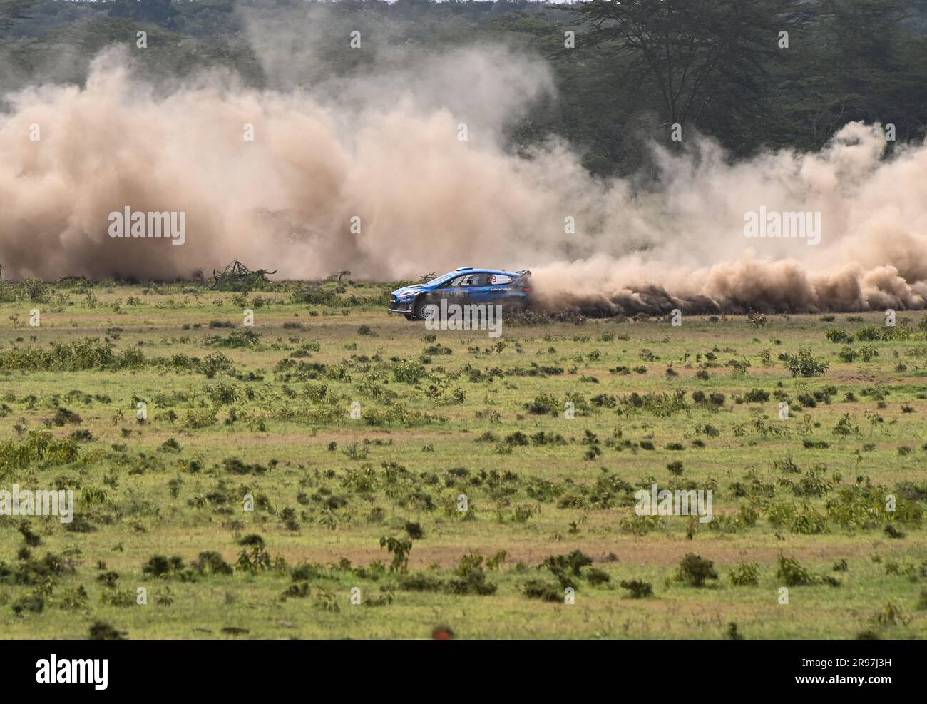 Wrc 2023 hi-res stock photography and images - Alamy