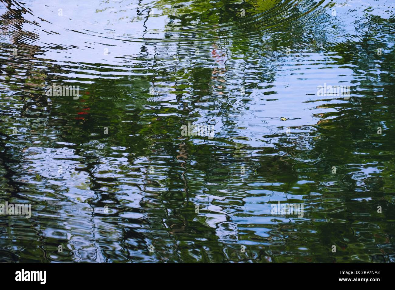 The tranquil scene of the pond is artfully captured by the shimmering ...