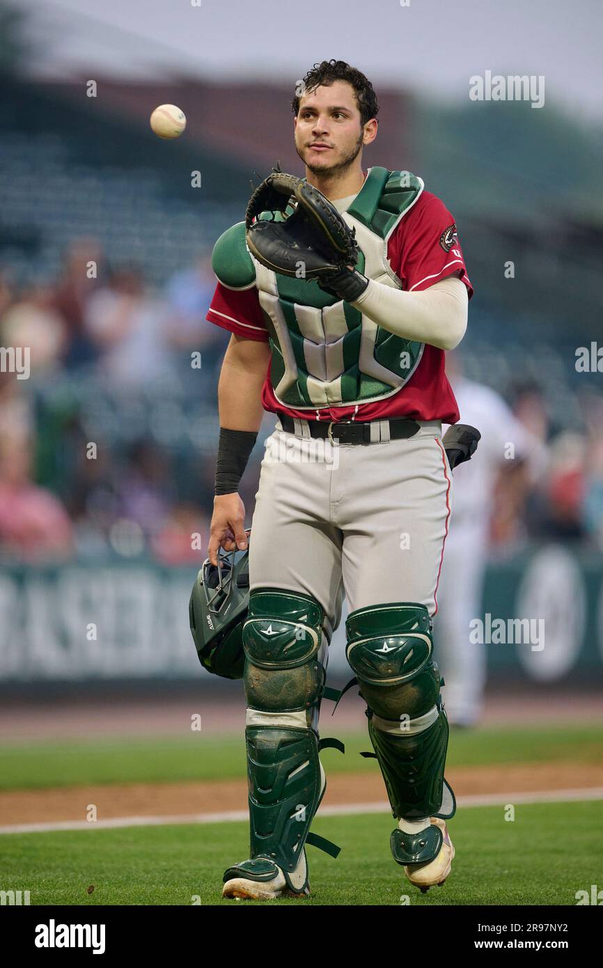 Altoona Curve catcher Abrahan Gutierrez (27) during an MiLB Eastern ...