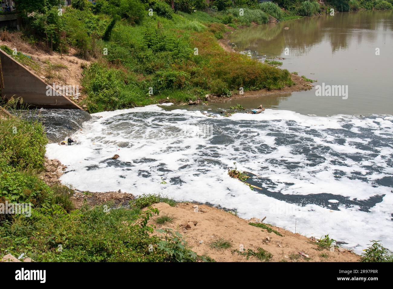 Water pollution in river because industrial not treat water before ...