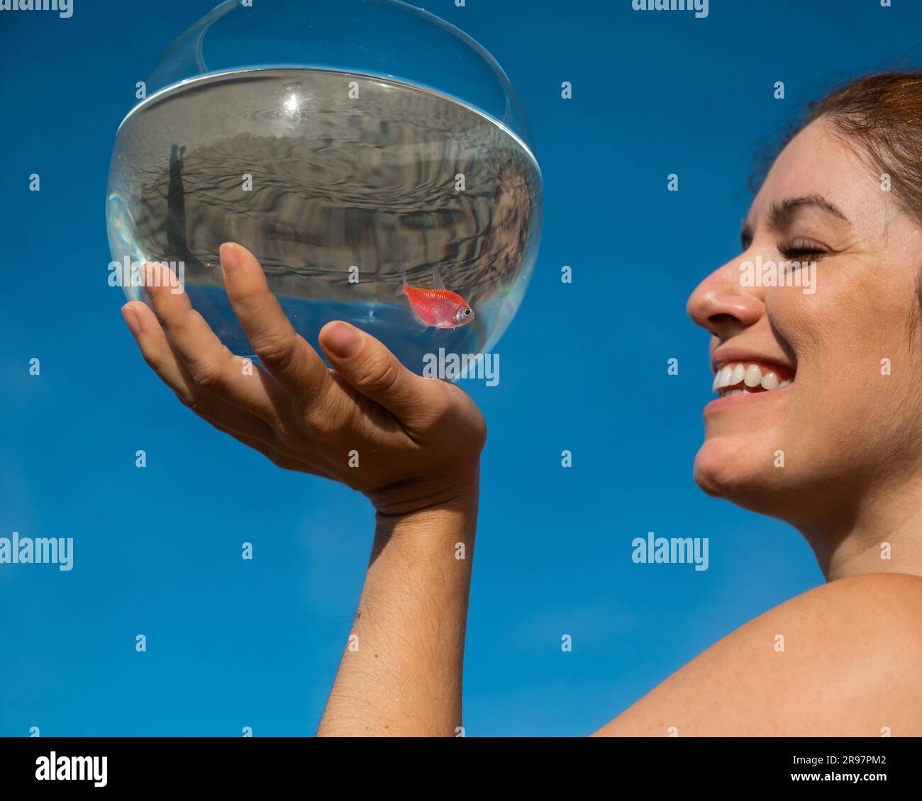 Woman holding round aquarium with goldfish on blue sky background Stock ...