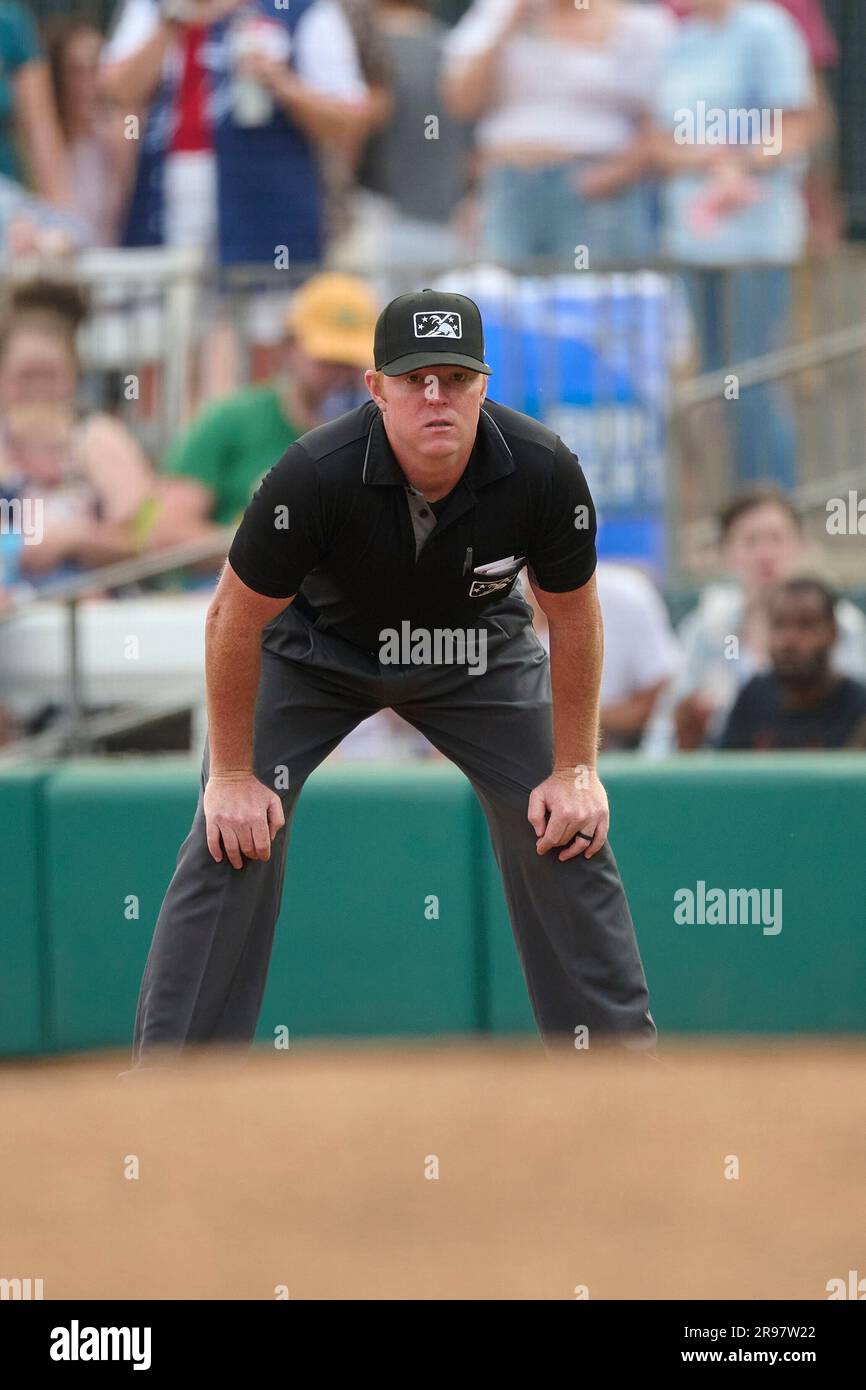 Umpire Ray Patchen during an MiLB Texas League baseball game between ...