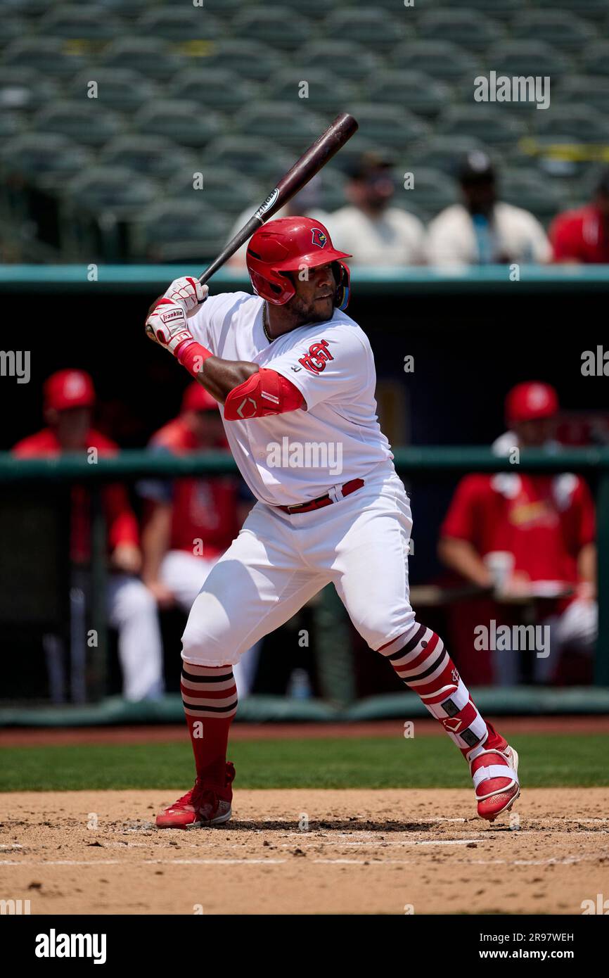 Memphis Redbirds Moises Gomez (31) at bat during an MiLB International ...